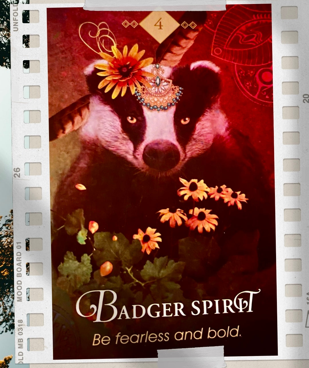 Daily Messages: January 9th, 2024 – Cosmic Cupboard LLC.